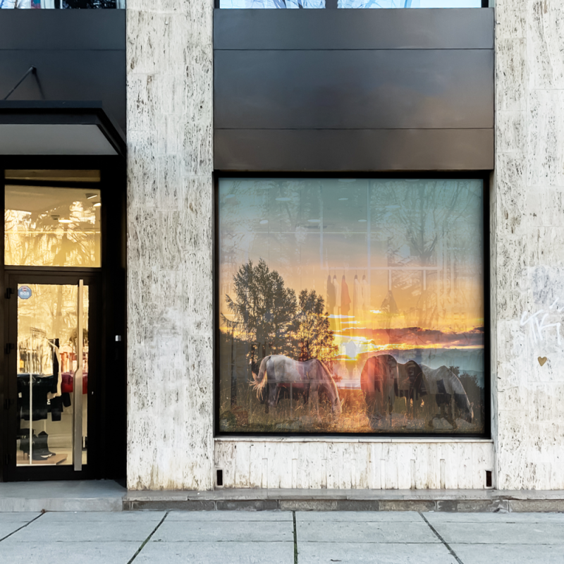 PVC Free Vinyl | Eco-Friendly Self-Adhesive Solutions | Innotech Digital